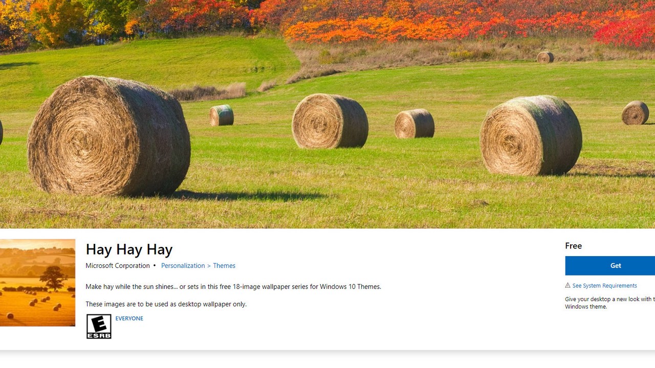 Mời bạn tải gói theme mới Hay Hay Hay chính chủ Microsoft